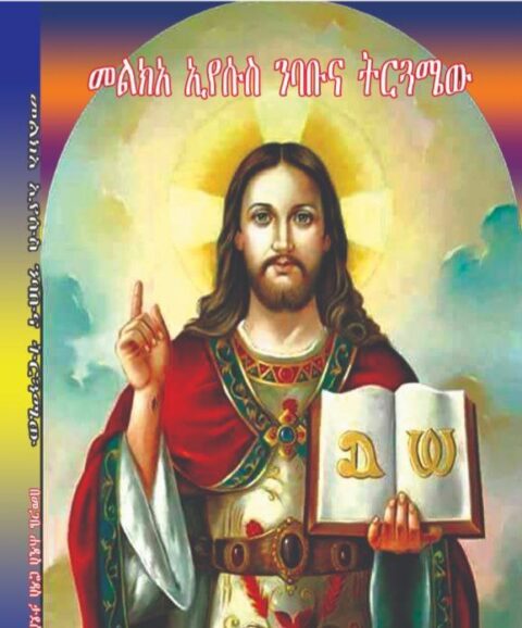 Books | My Andromeda